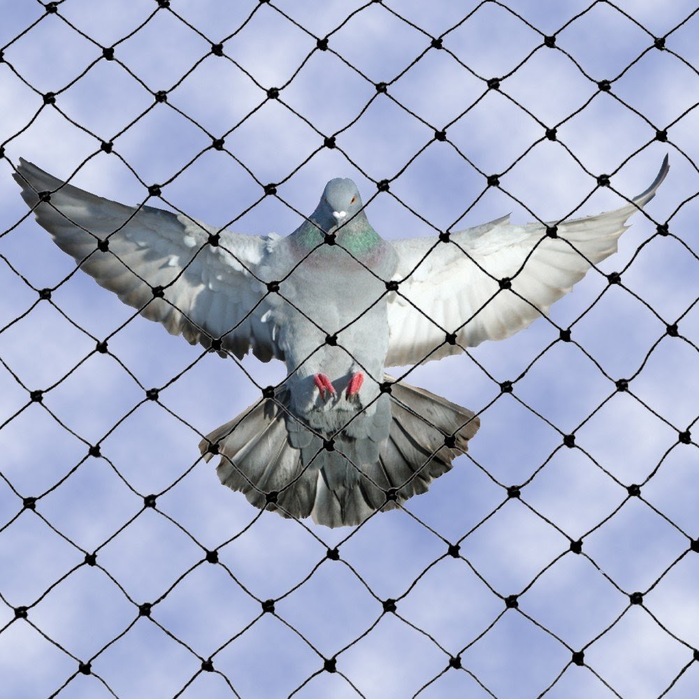 Rithvika Safety Nets - Best Safety Nets Installation in Hyderabad ...